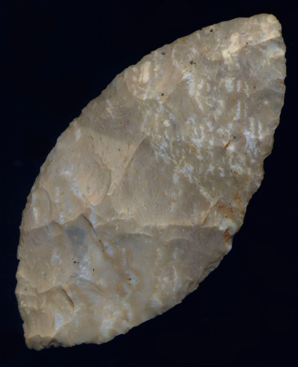 Penbrandt Prehistoric Artifacts - Archives - Nodena